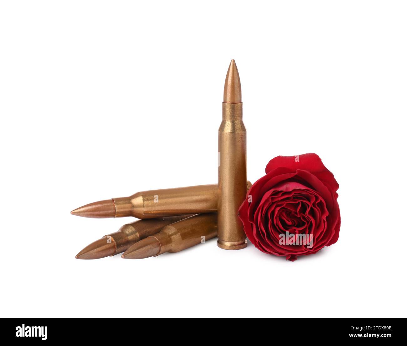 Bullets and beautiful rose flower isolated on white Stock Photo - Alamy