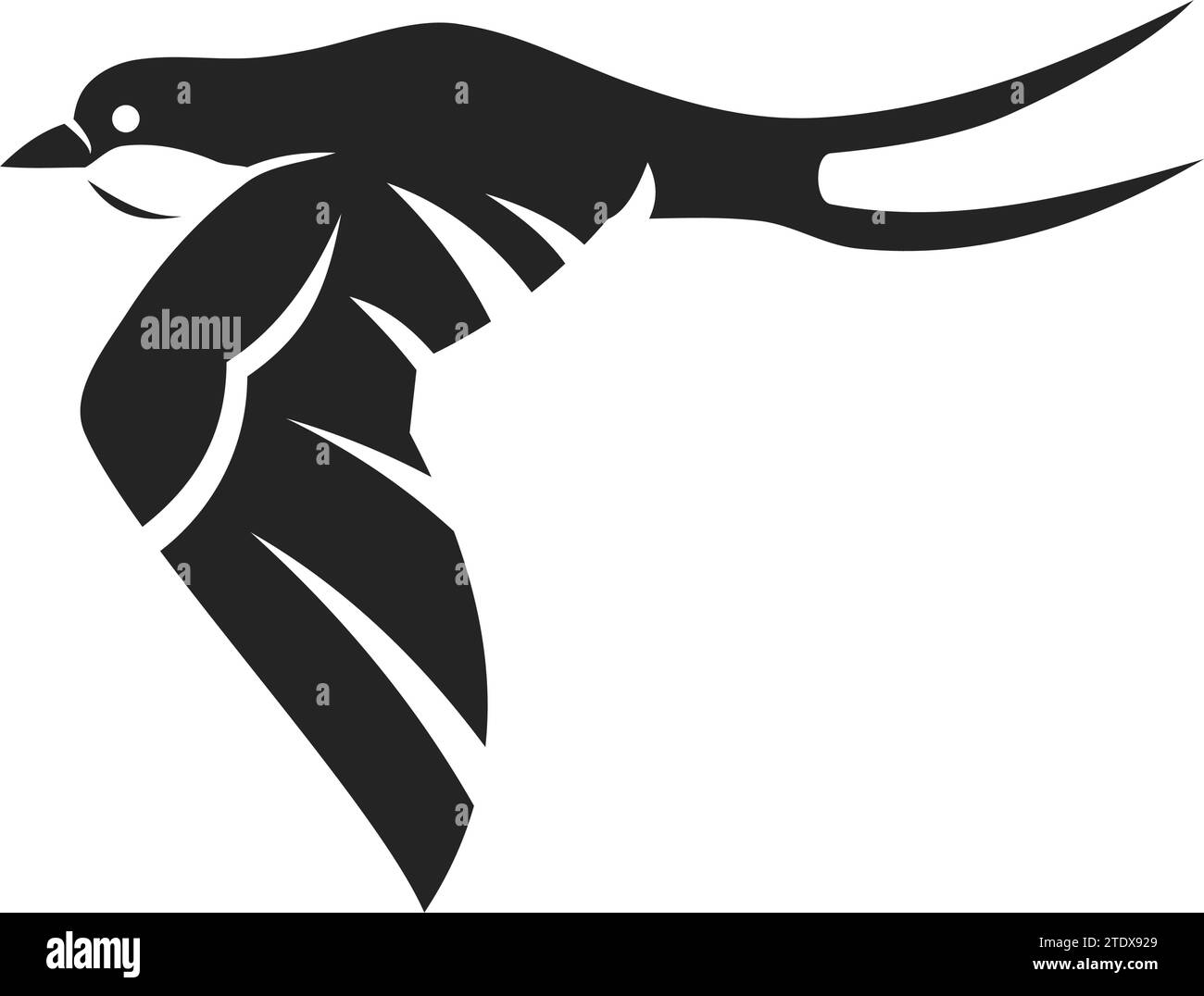 Swallow bird logo template Isolated. Brand Identity. Icon Abstract ...