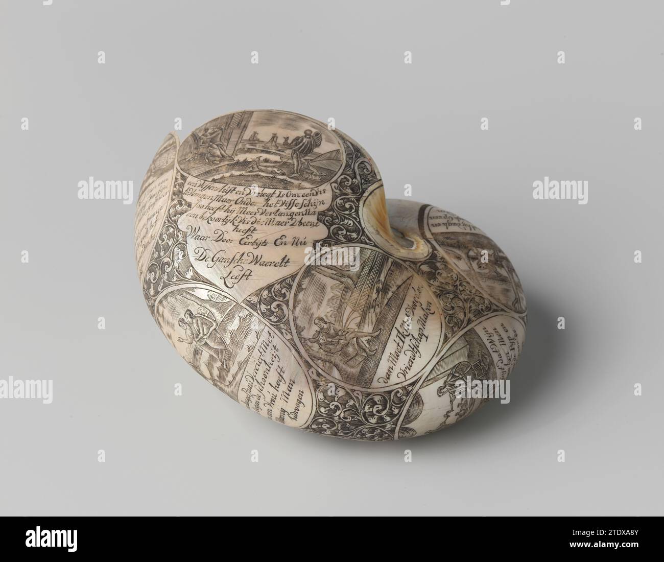 Nautilus shell with engraved cartouches, anonymous, 1700 - 1725 A ...