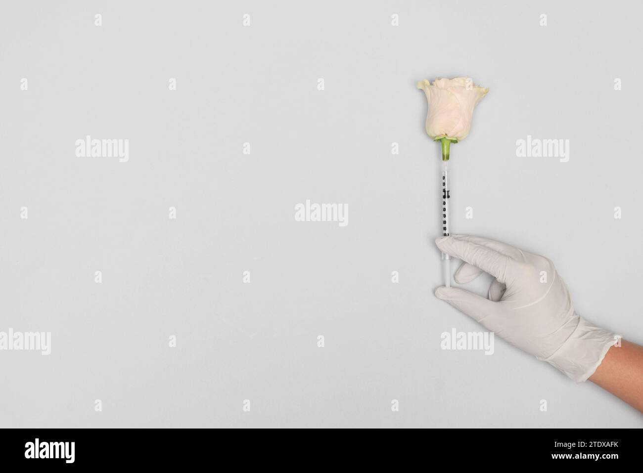Doctor making injection to rose on light grey background, top view ...