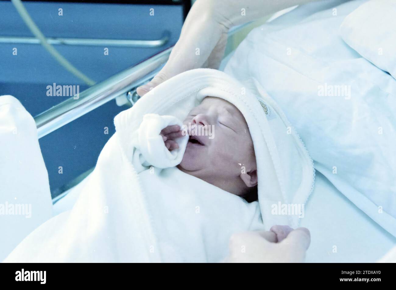 First leap baby born in the Maria Foundation, Haarlem, Kleine Houtweg ...