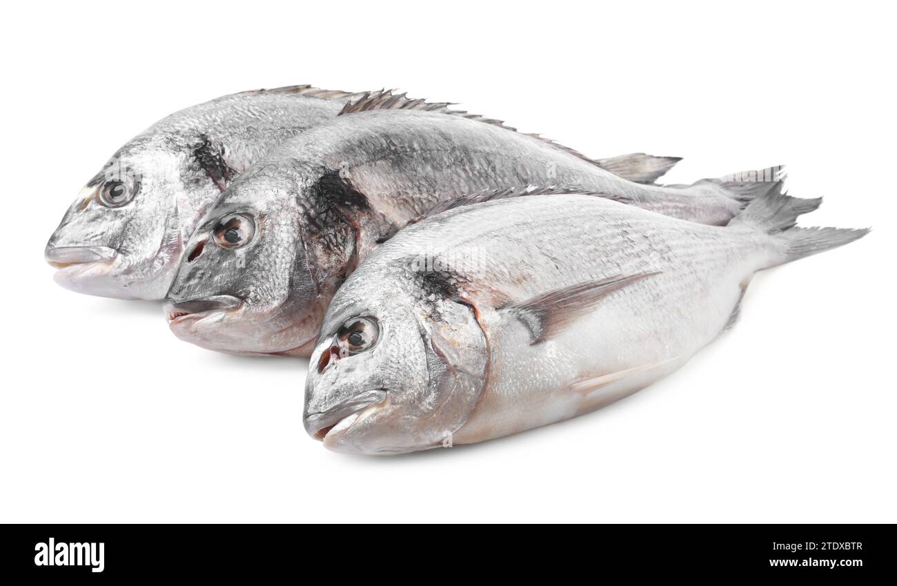 Fresh raw dorado fish isolated on white Stock Photo - Alamy