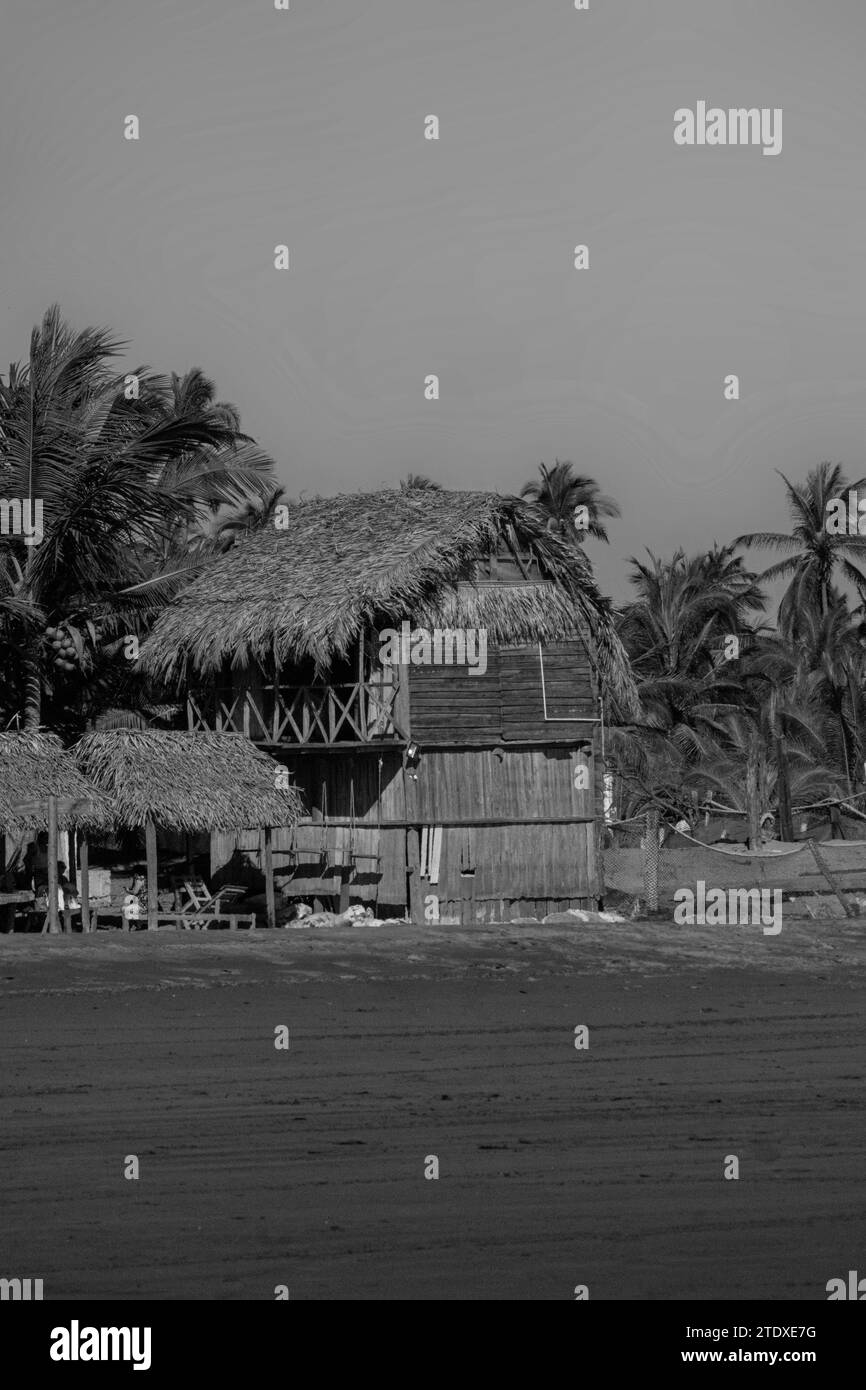 Tropical tranquility: A traditional Pacific Mexican palapa, crafted ...