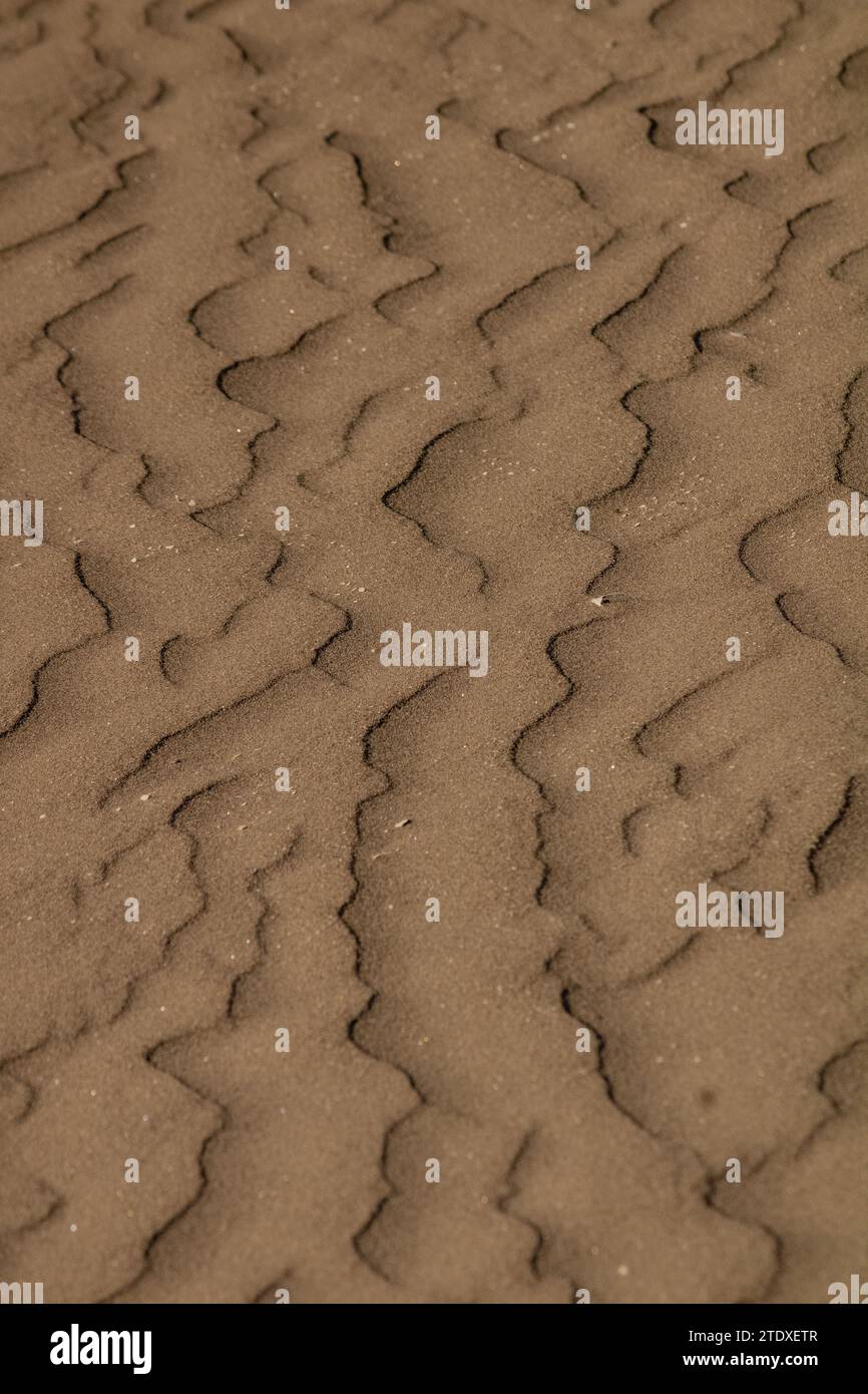 The mesmerizing dance of wind-sculpted sand, this photograph showcases ...