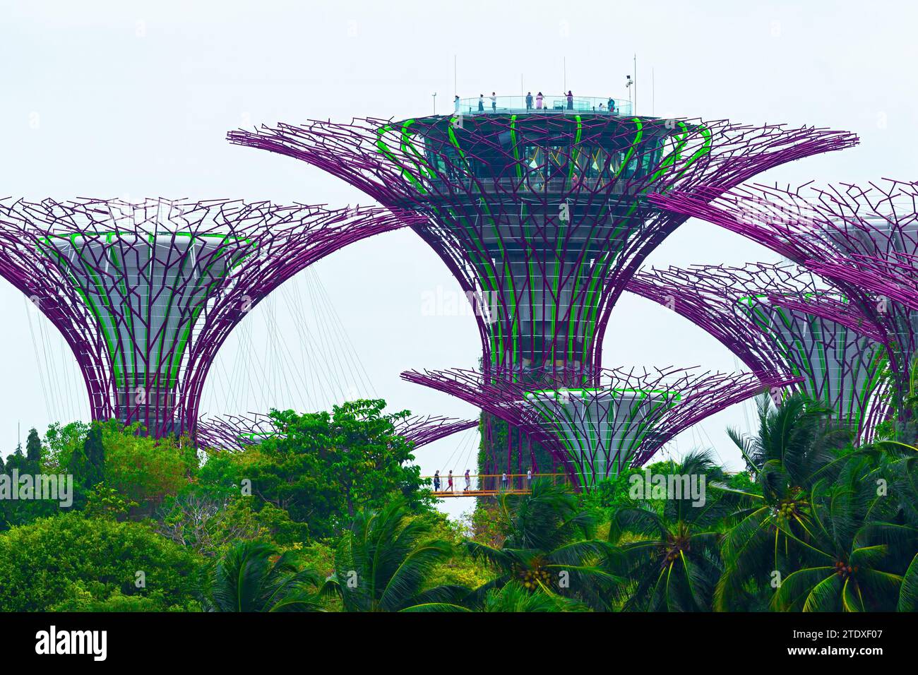 Detail from the Supertree Grove in Gardens By The Bay in Singapore ...