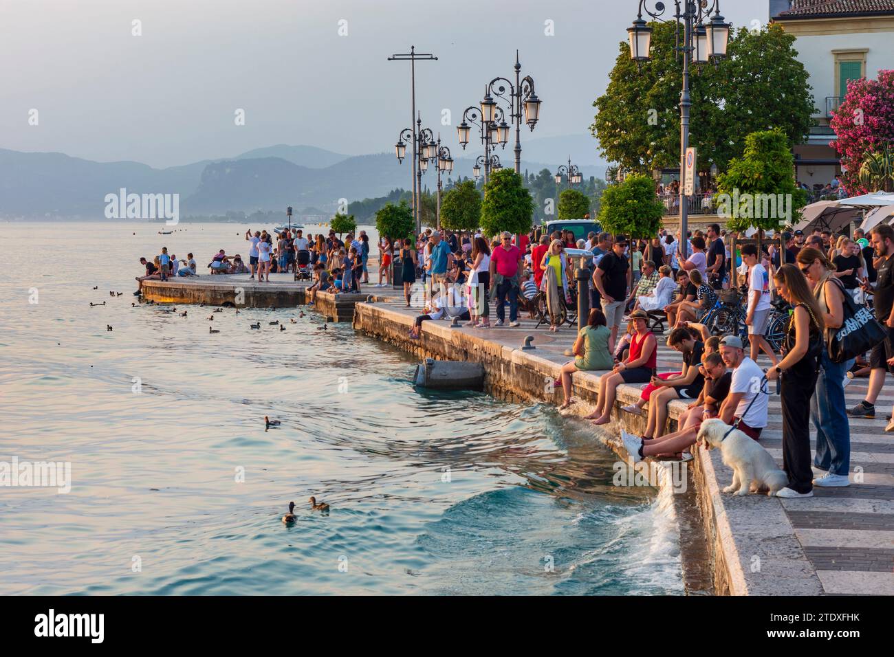 Lazise: Lago di Garda (Lake Garda), lakefront at sunset, many tourists ...