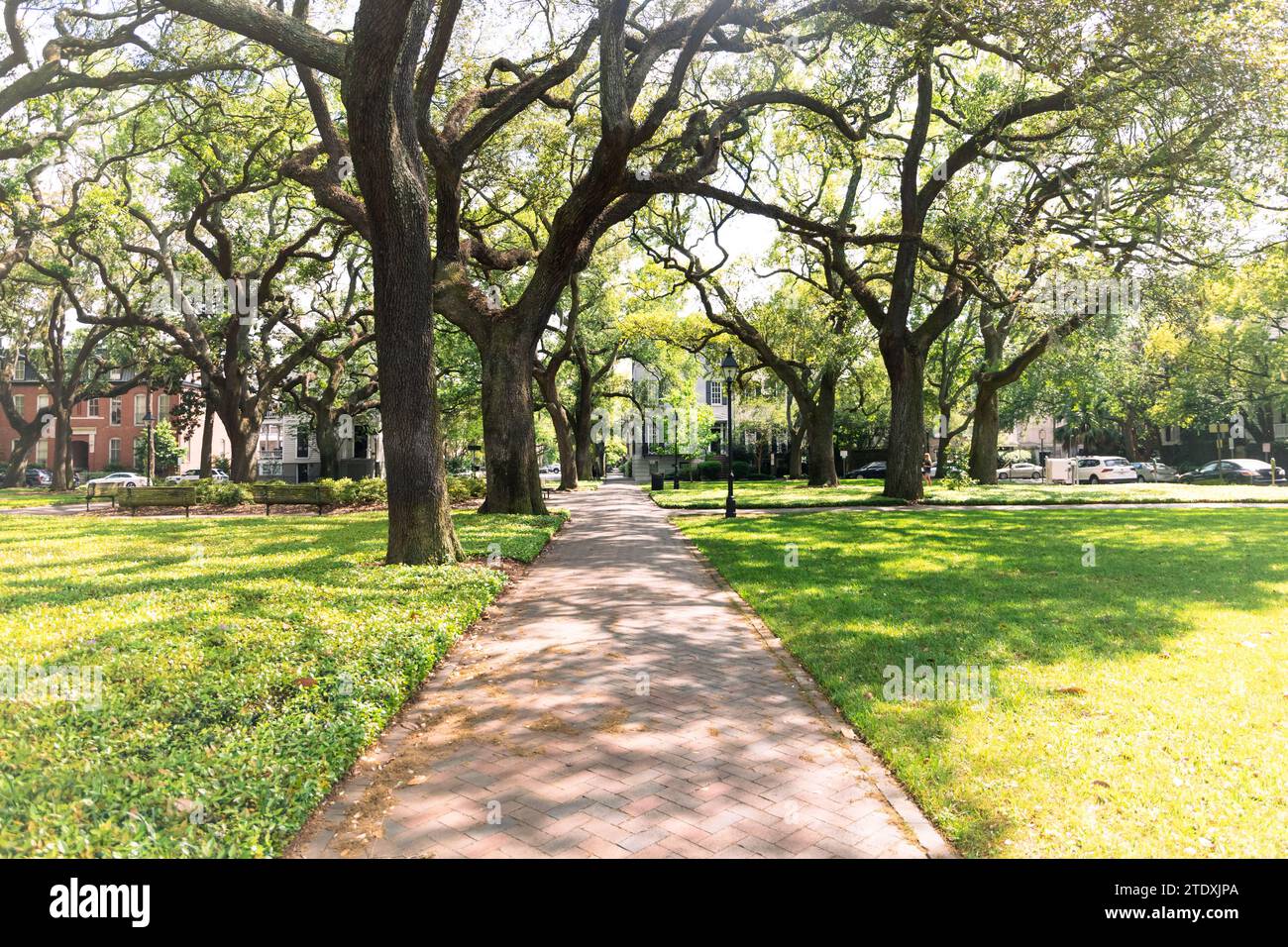A tree lined sidewalk in Savannah Georgia Stock Photo - Alamy