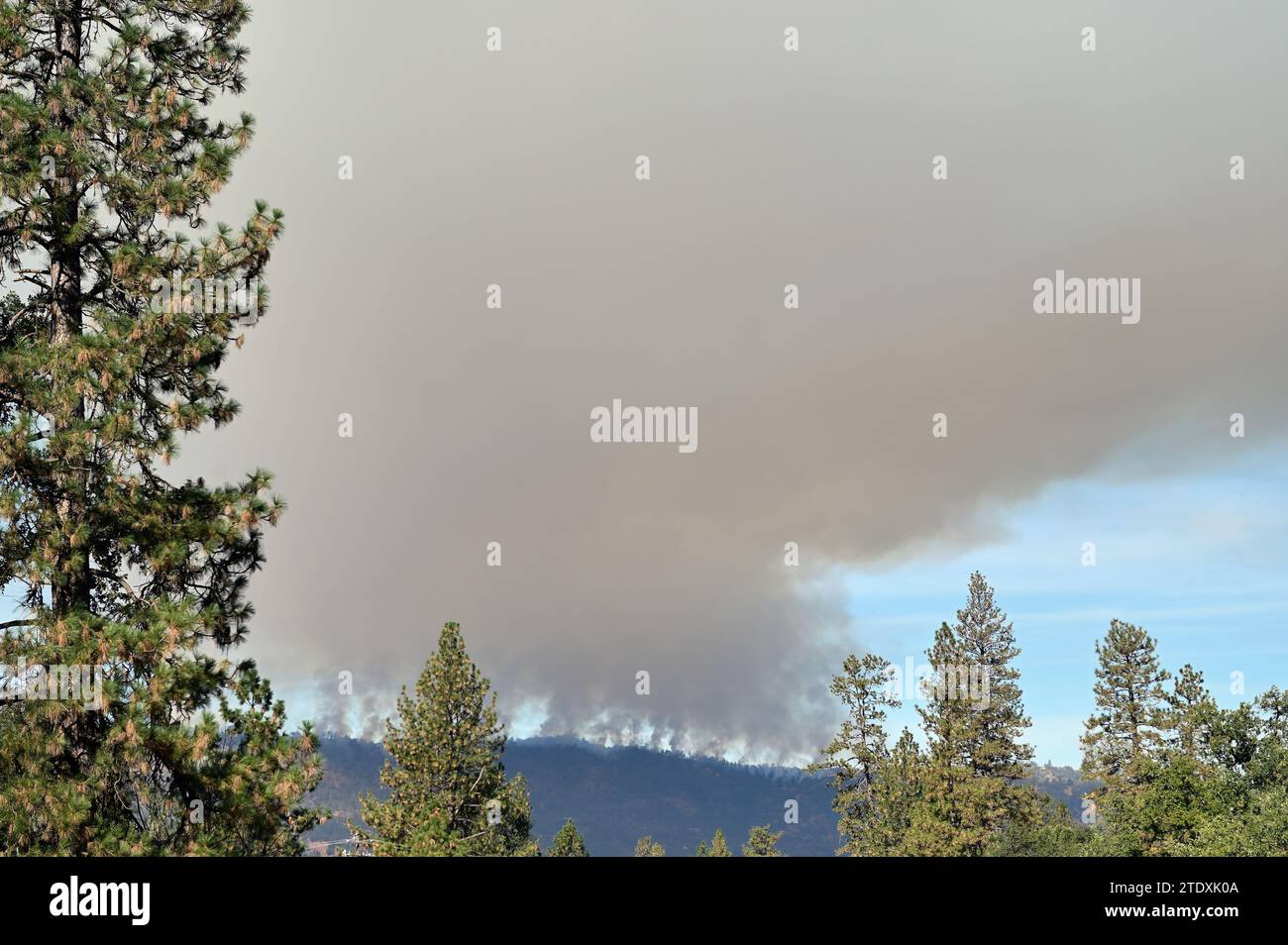 Wlidfires hi-res stock photography and images - Alamy