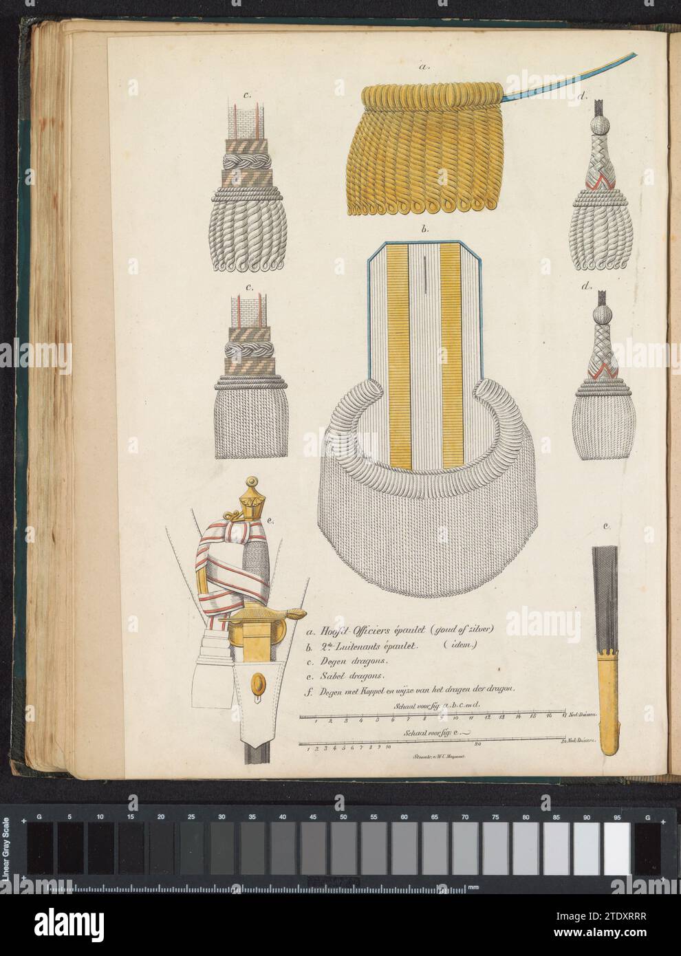Distinction sign of the army, 1845, 1845 Distinction drawing of the ...