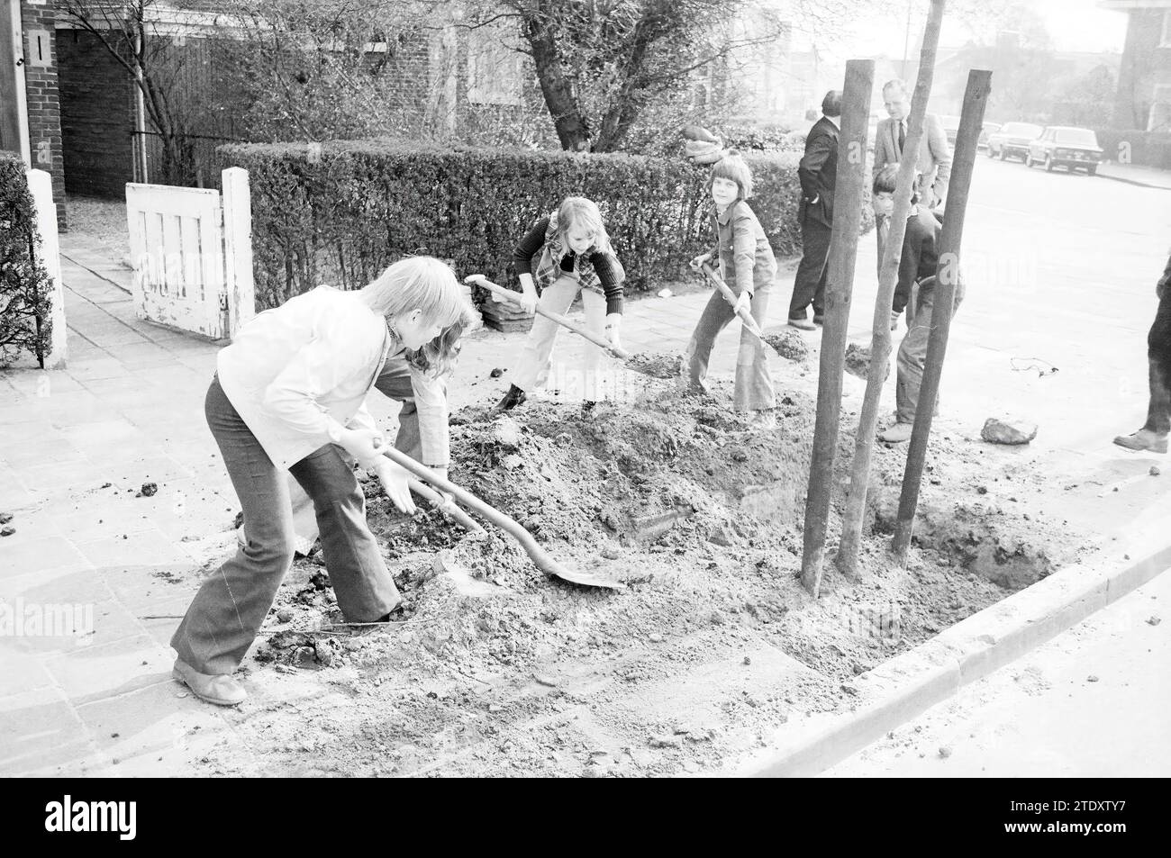 Planting a tree Verspronckweg, Trees, 03-04-1974, Whizgle News from the ...