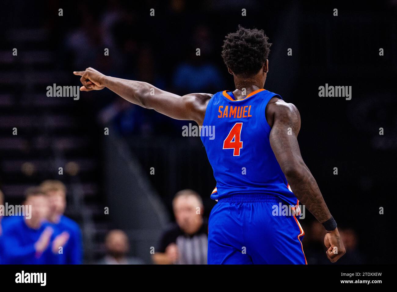 2023 0215 jpg hi-res stock photography and images - Alamy