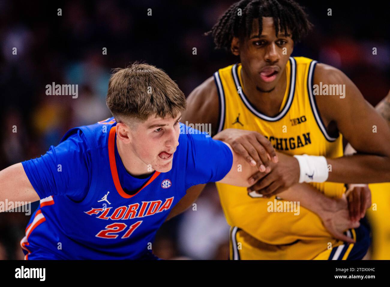 December 19, 2023: Florida Gators forward Alex Condon (21) boxes out ...