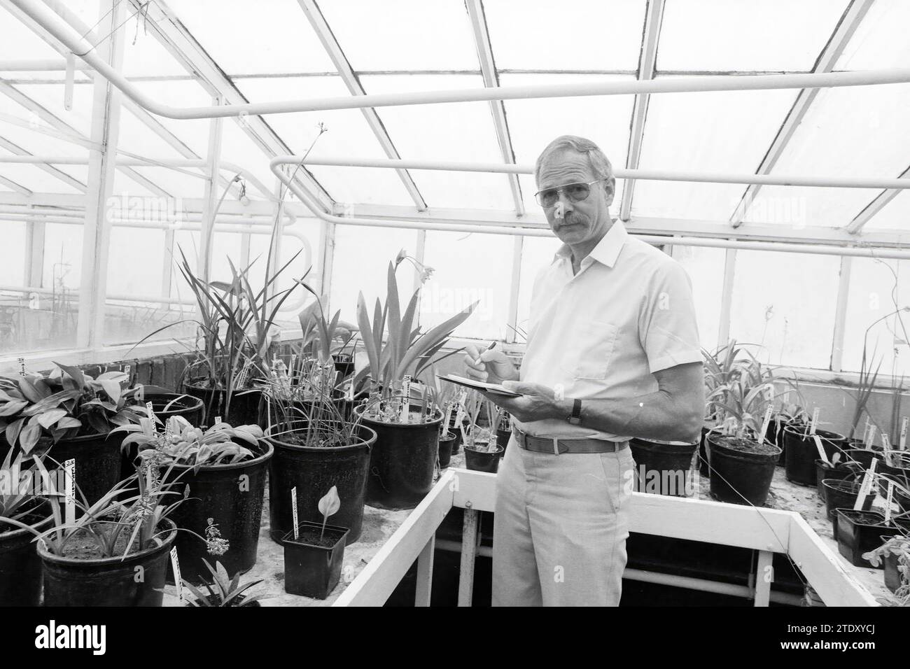 Mr. Koster, bulb lab. Lisse, 18-06-1990, Whizgle News from the Past, Tailored for the Future ...