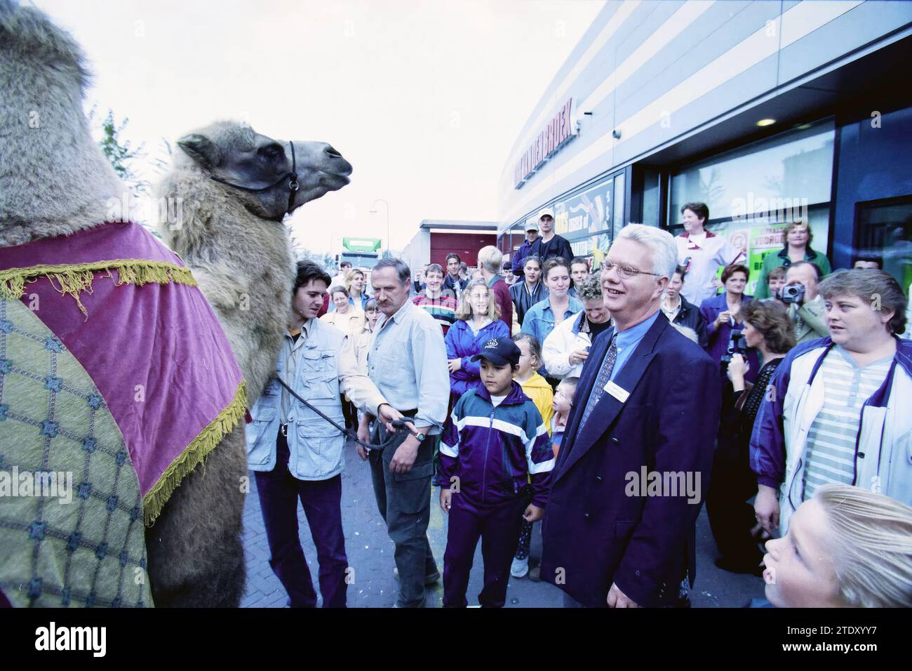 Camel at Dirk v.d. Broek, Hoofddorp, The Netherlands, 28-09-1998 ...