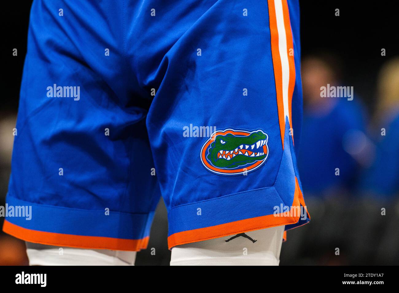 Charlotte, North Carolina, USA. 19th Dec, 2023. Florida Gators logo on ...