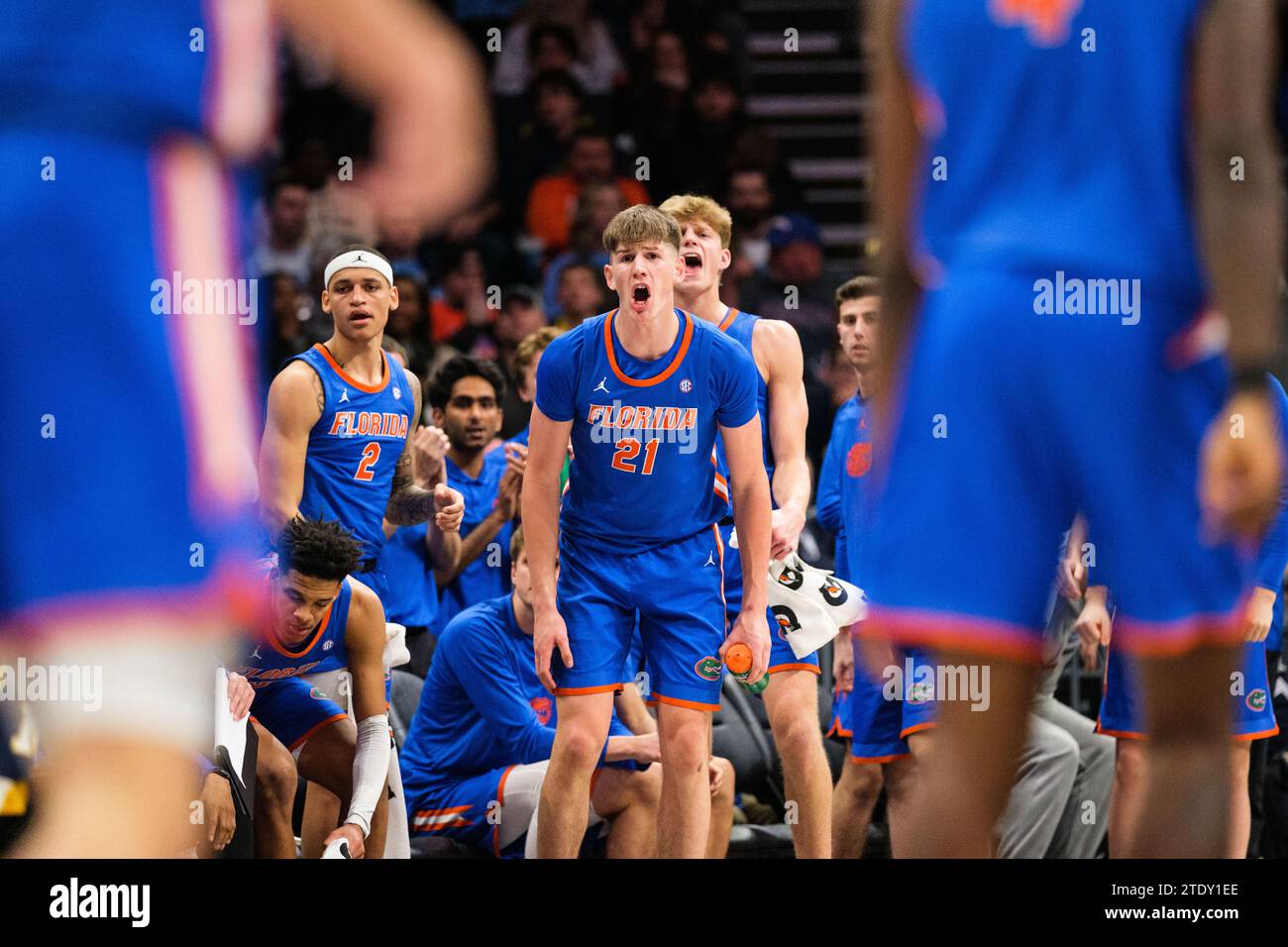Charlotte, North Carolina, USA. 19th Dec, 2023. Florida Gators forward ...