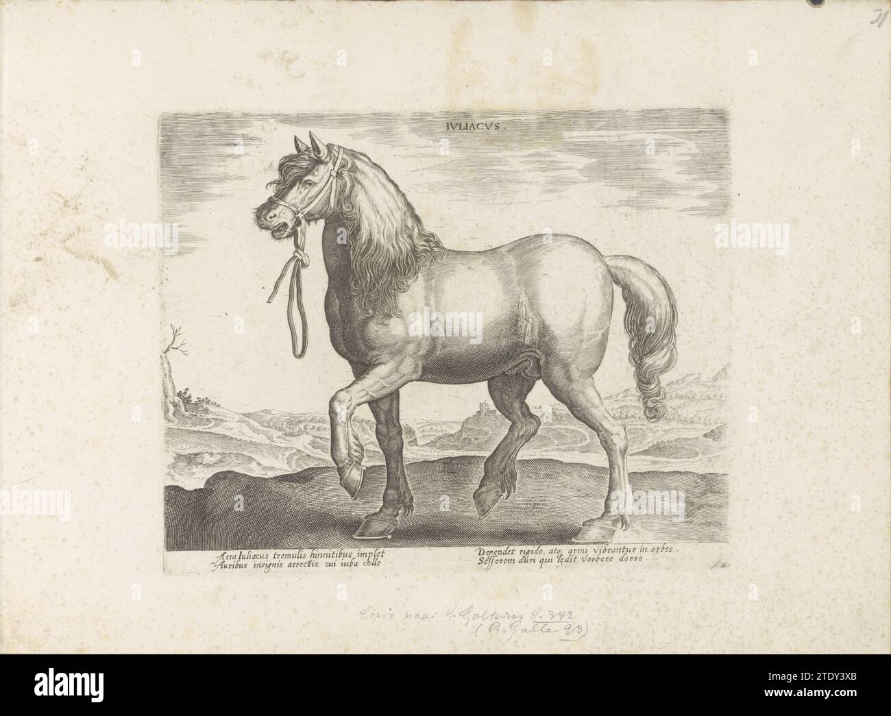 Paard from Gulik (Juliacus), 1624 - Before 1648 A Gulik's horse in a ...