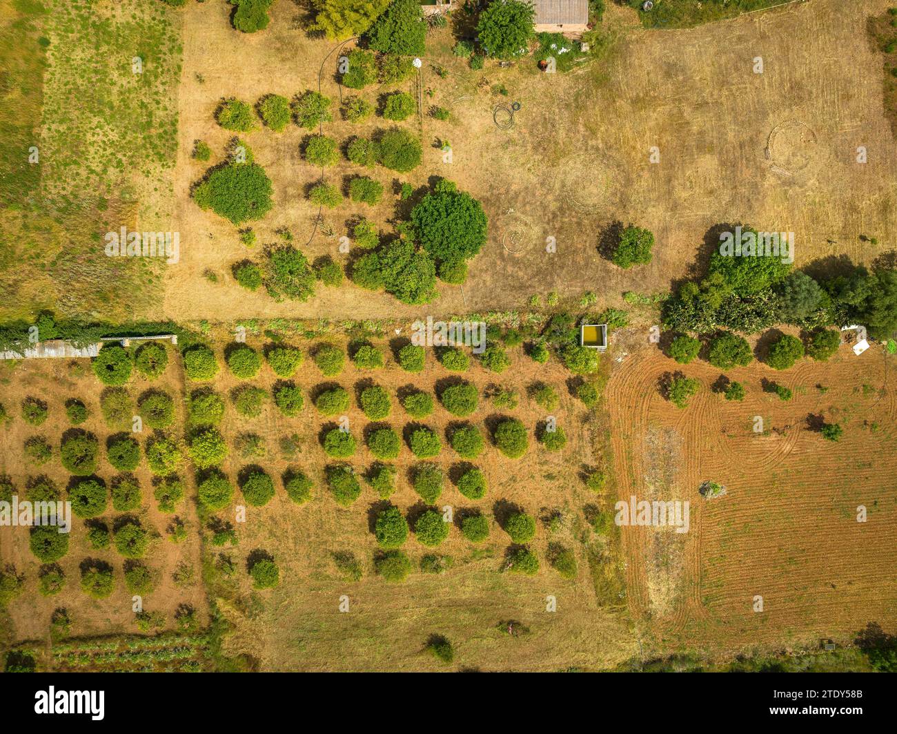 Aerial view of the town of Petra and the fields and rural surroundings ...