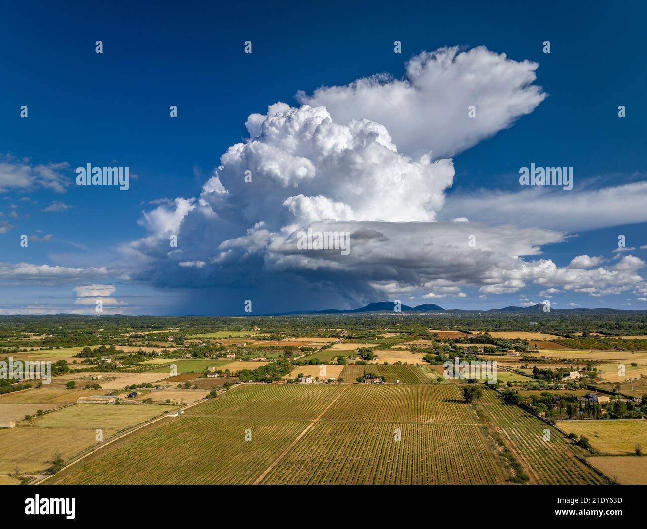 Primavera viñedo hi-res stock photography and images - Alamy