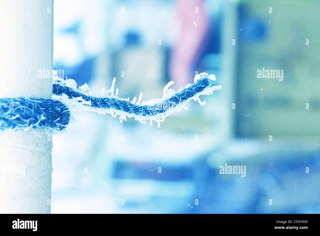 Rope tied around pole, 20-12-1994, Whizgle News from the Past, Tailored ...