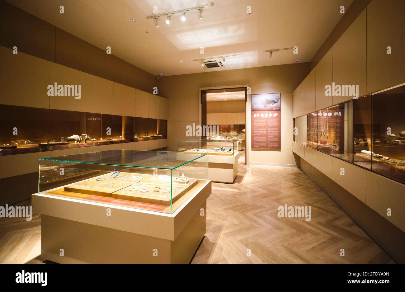 A gallery displaying ancient archeological artifacts and jewelry ...