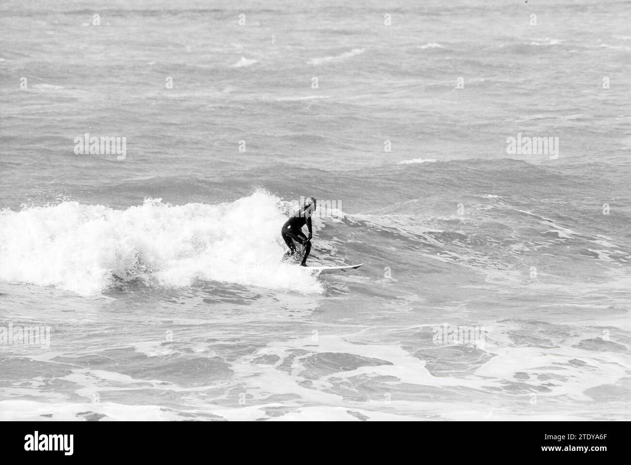 Surfer at sea, 03-04-1995, Whizgle News from the Past, Tailored for the ...