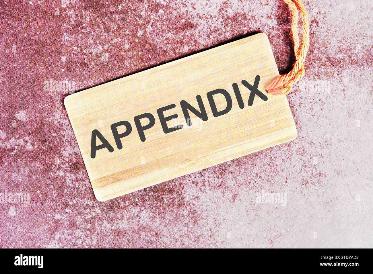Appendix word written on a card with a rope on an abstract background ...
