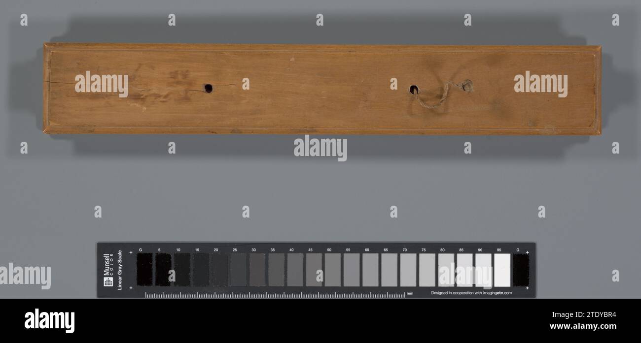 Palmblad (palmyra palm), anonymous, c. 1700 - c. 1800 Palm magazine ...