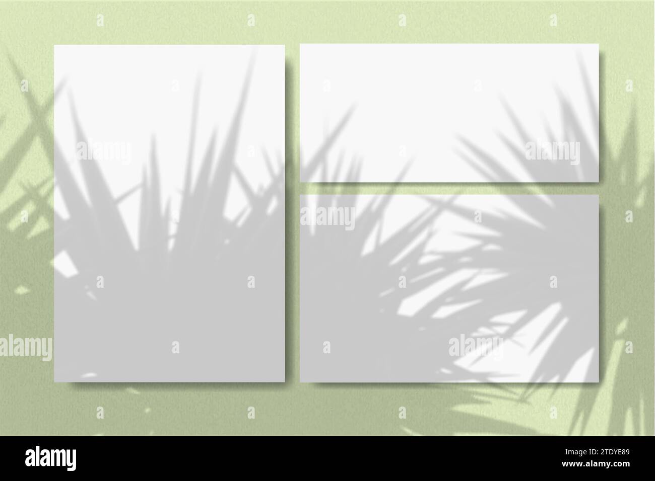 Horizontal and vertical sheets of white textured paper against a green ...