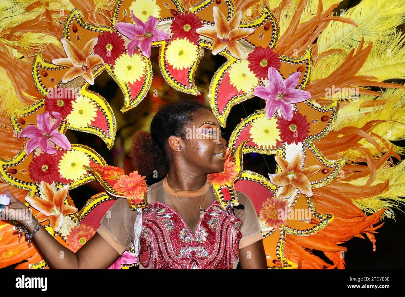 People celebrating in colorful costumes and dancing to music at the ...