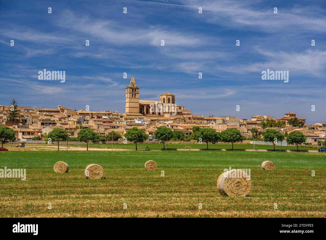 Primavera de paja hi-res stock photography and images - Alamy