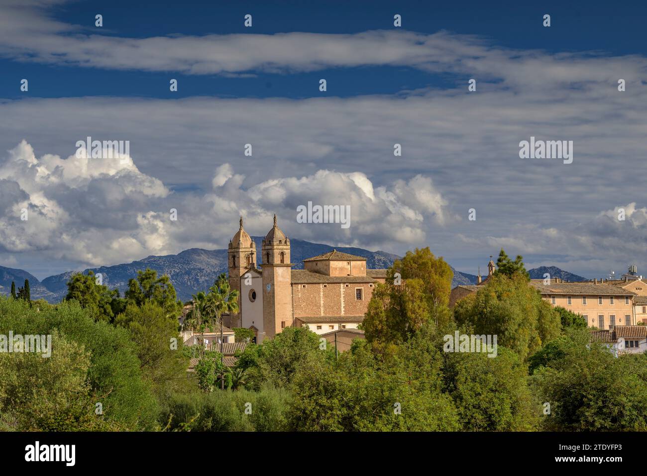 Arbol i hi-res stock photography and images - Alamy