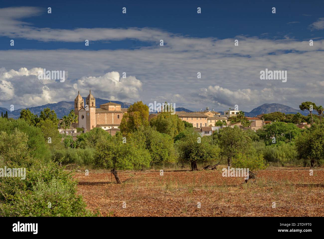 Campo de piña hi-res stock photography and images - Alamy