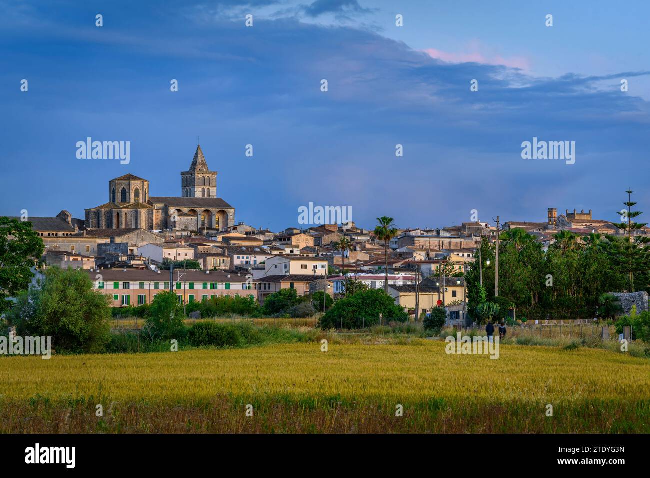 Church of Santa María de Sineu in a spring twilight and dusk (Majorca ...