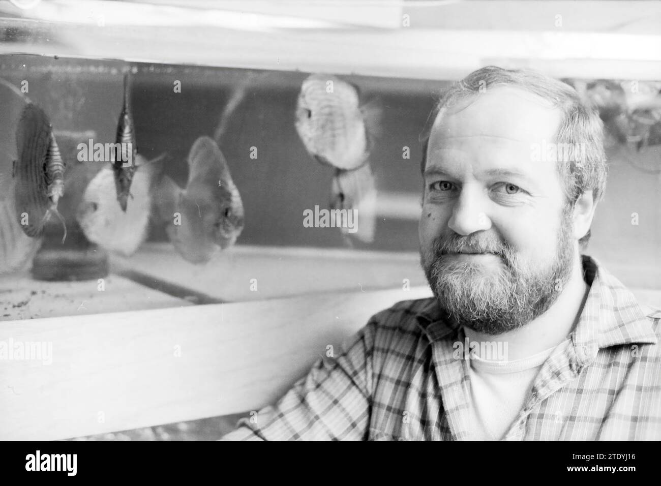 Johan de wit breeds fish cruquius hi-res stock photography and images ...