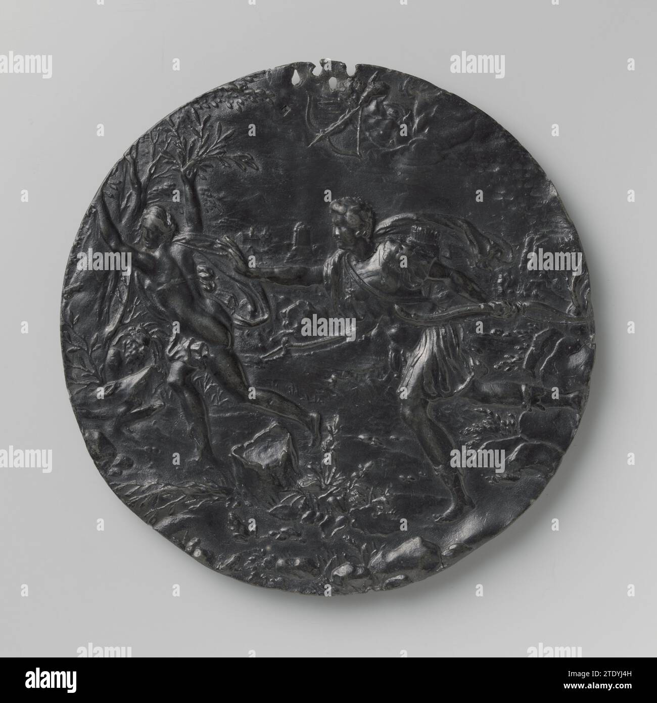 Broken laurel tree hi-res stock photography and images - Alamy