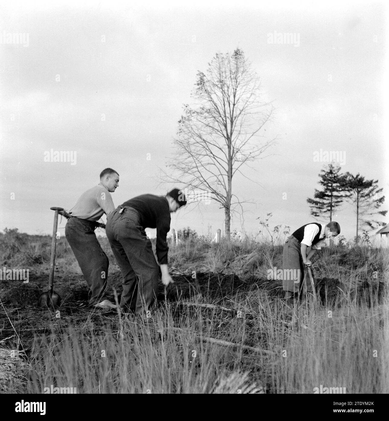 Children digging in dirt Black and White Stock Photos & Images - Alamy