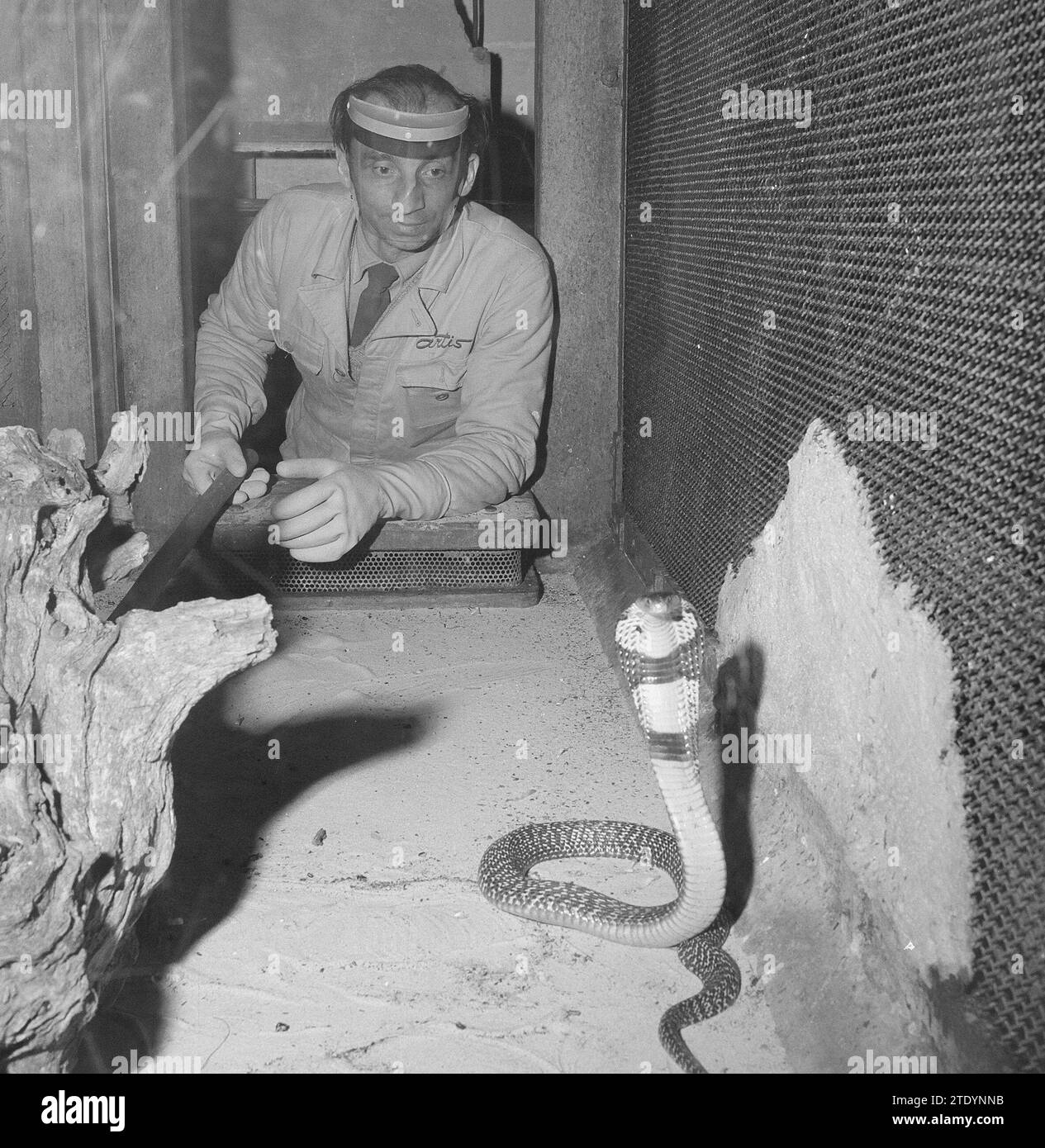 Spitting animal Black and White Stock Photos & Images - Alamy