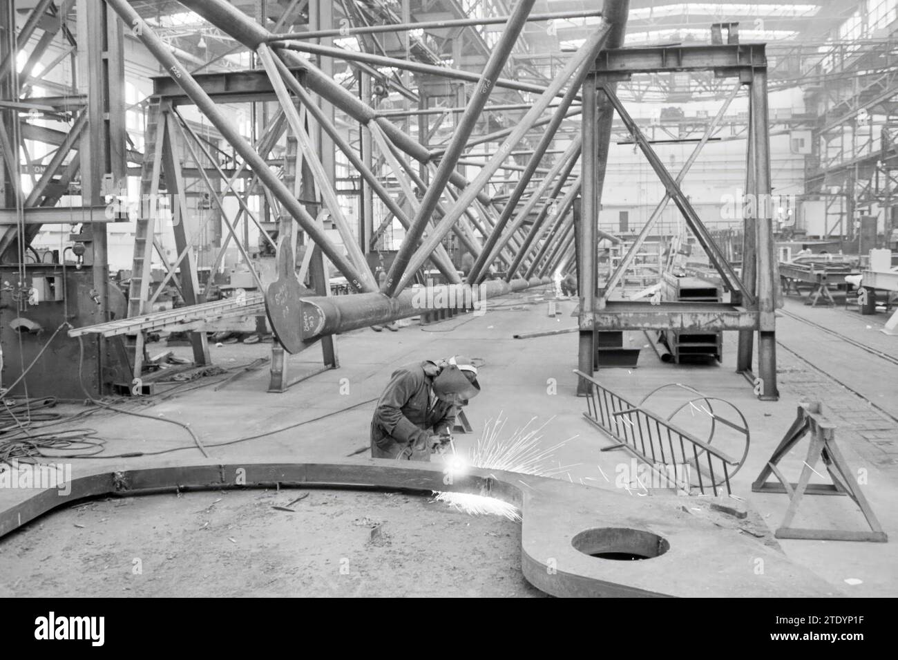 Assembly hall figee cranes hi-res stock photography and images - Alamy