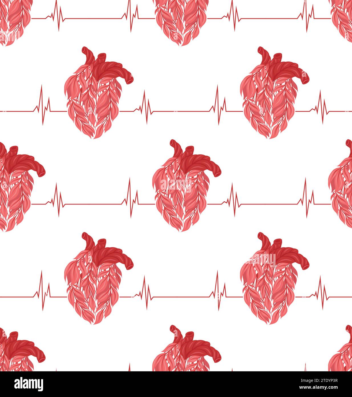 Human hearts anatomy Stock Vector Images - Alamy