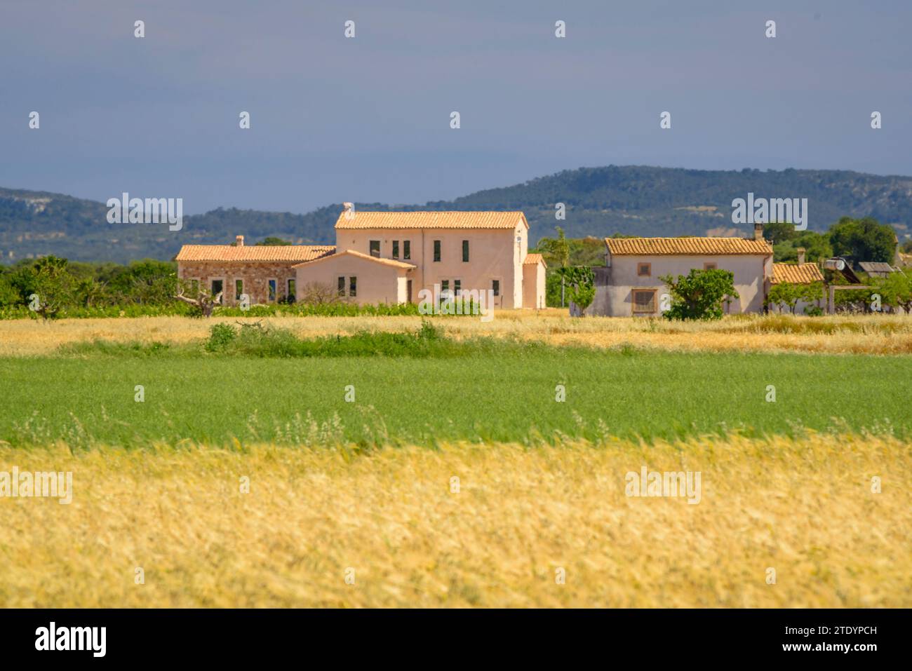 Edifici campos hi-res stock photography and images - Alamy