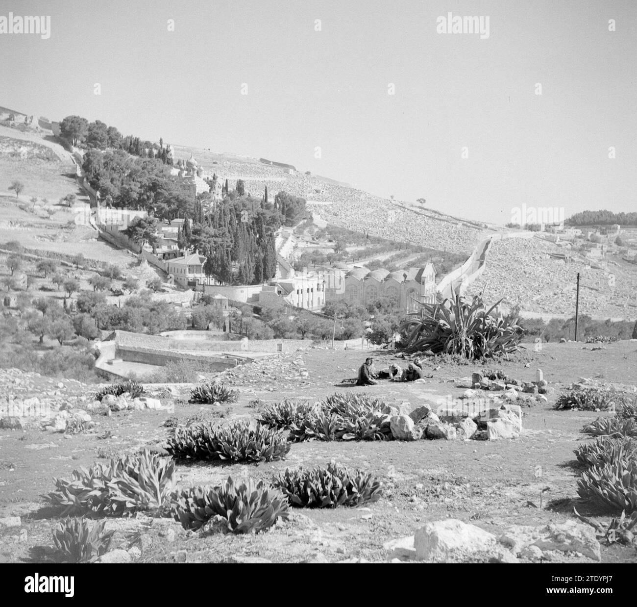 Archival garden photo Black and White Stock Photos & Images - Alamy