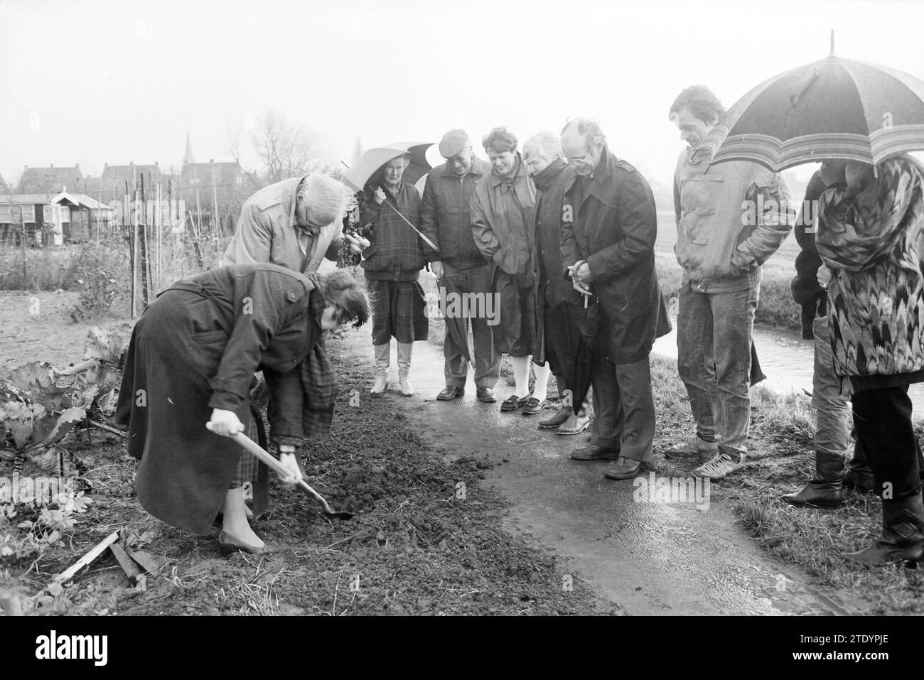 Planting shrubs in Hillegom, Public gardens, plants, shrubs, shrubs ...