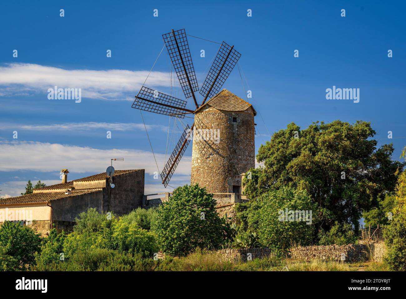 The Molí d'en Blanc windmill, near Llubí, a mill with traditional ...