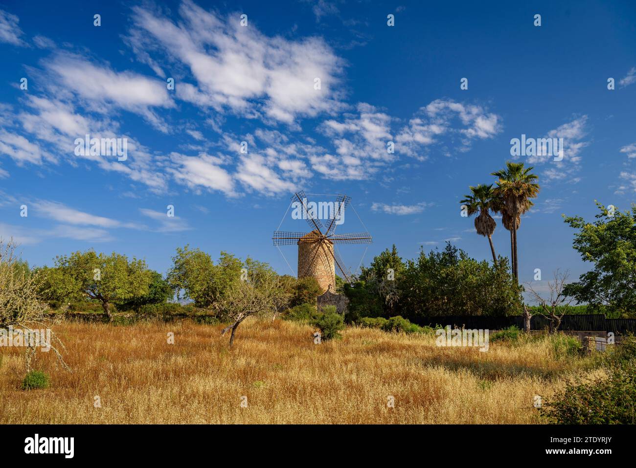 The Molí d'en Blanc windmill, near Llubí, a mill with traditional ...