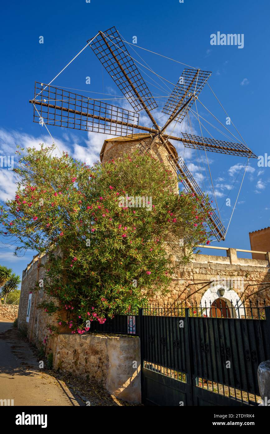 The Molí d'en Blanc windmill, near Llubí, a mill with traditional ...