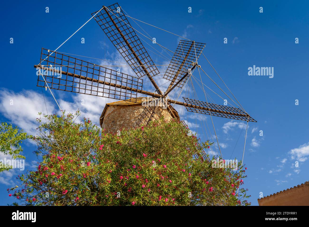 The Molí d'en Blanc windmill, near Llubí, a mill with traditional ...