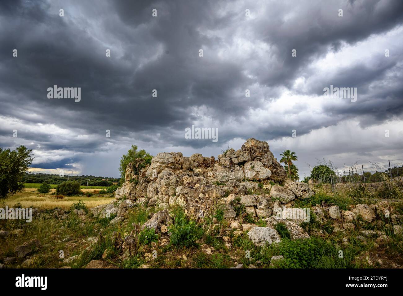 Arte temporal hi-res stock photography and images - Alamy