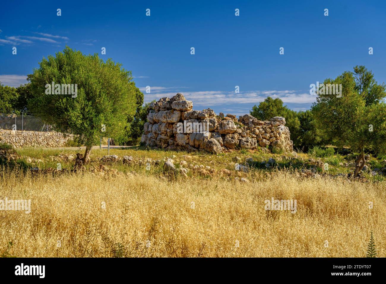 The Talaiot des Racons megalith, near Llubí, on a sunny early summer ...