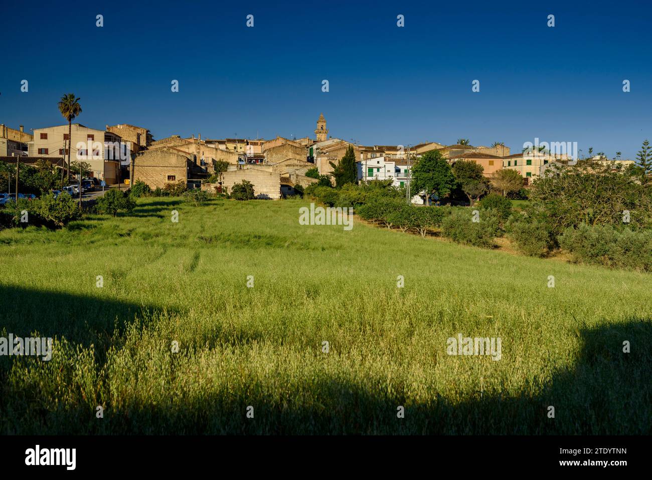 Paysage de majorque hi-res stock photography and images - Alamy